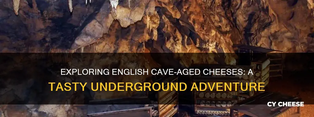 Exploring English Cave-Aged Cheeses: A Tasty Underground Adventure ...